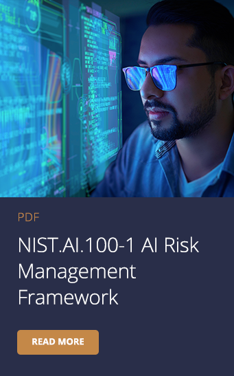 NIST.AI.100-1 AI Risk Management Framework - JANUS